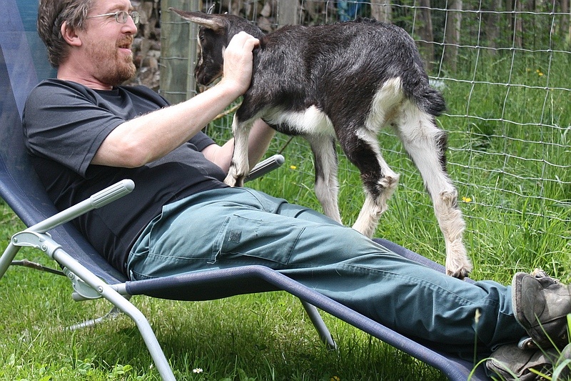 How Do Goats Show Affection to Humans? - Goat Journal